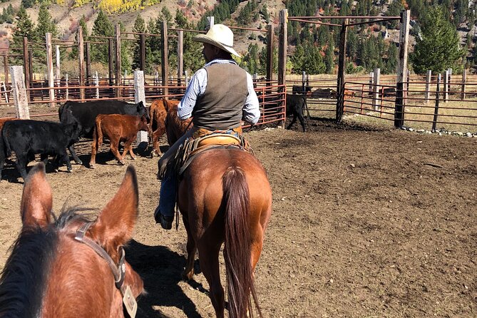 Private Horseback Riding in Wyoming - An In-Depth Look at the Wyoming Horseback Riding Tour