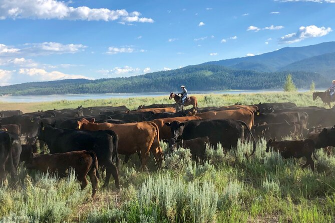 Private Horseback Riding in Wyoming - Who This Tour Is Best For