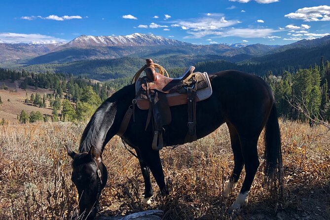 Private Horseback Riding in Wyoming - FAQ