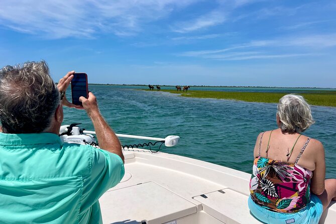 Private Island Eco Tours on a Private Boat from Shackleford Banks - An In-Depth Look at the Experience