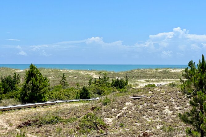 Private Island Eco Tours on a Private Boat from Shackleford Banks - Why Choose This Tour?
