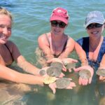 Private Island Eco Tours on a Private Boat from Shackleford Banks - Final Thoughts