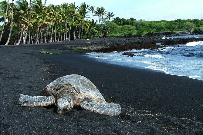 Private Island Tour in Hawaii with Pickup Included - The Sum Up