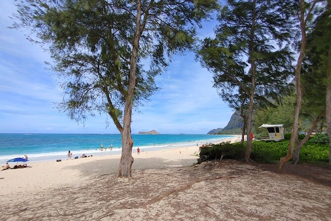 Private Jeep Tour of Oahu's Best Hidden Gems - Who Is This Tour Perfect For?