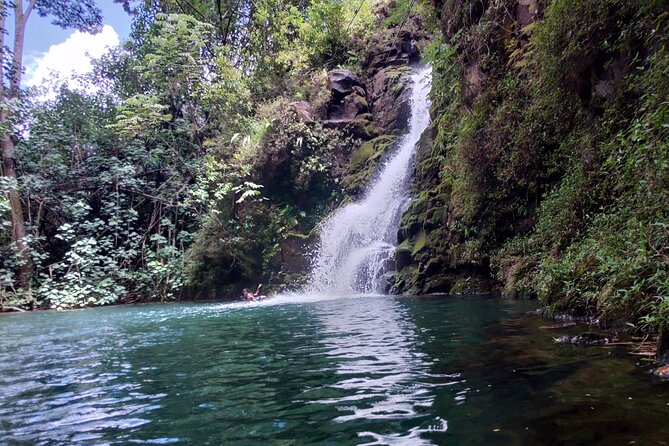 Private Jungle Waterfall Adventure, Wit Da Native Hawaiian Dundee - Key Points