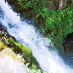 Private Jungle Waterfall Adventure, Wit Da Native Hawaiian Dundee - A Deep Dive into the Kauai Jungle Adventure