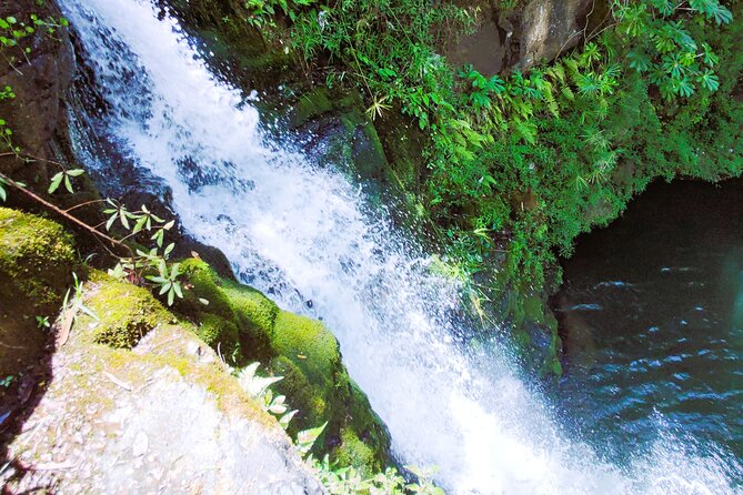 Private Jungle Waterfall Adventure, Wit Da Native Hawaiian Dundee - A Deep Dive into the Kauai Jungle Adventure