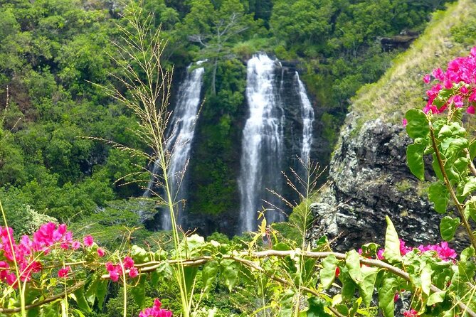 Private Kauai 5-Hour Eastside & Waterfalls Tour - A Closer Look at the Itinerary and What You Can Expect