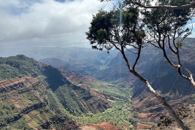 Private Kauai Island Tour - Featuring Waimea & Kokee State Parks - Final Thoughts