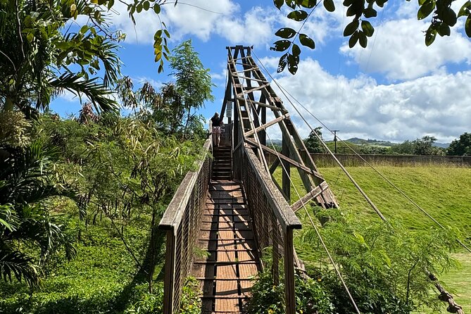Private Kauai Island Tour : Waimea Canyon, Kalalau Lookout + More - An In-Depth Look at the Kauai Private Tour