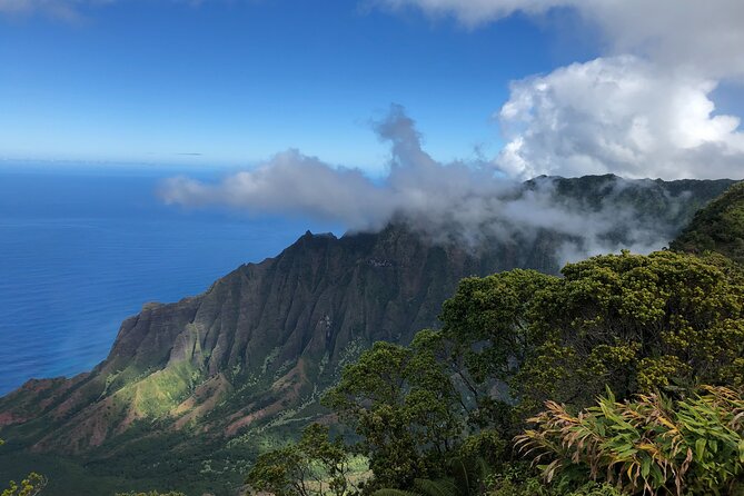Private Kauai Island Tour : Waimea Canyon, Kalalau Lookout + More - Who Will Love This Tour?