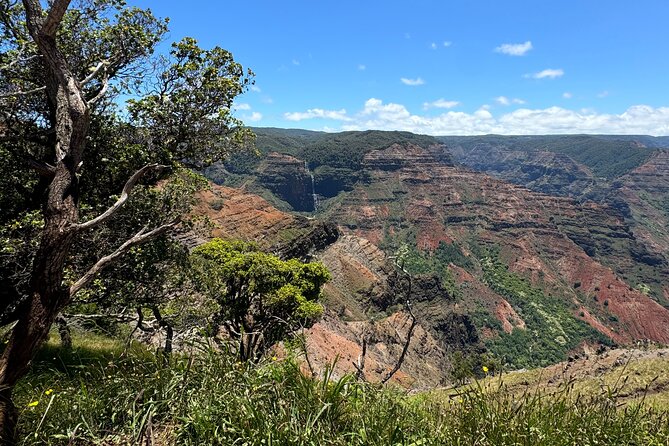 Private Kauai Island Tour : Waimea Canyon, Kalalau Lookout + More - FAQ - Your Questions Answered