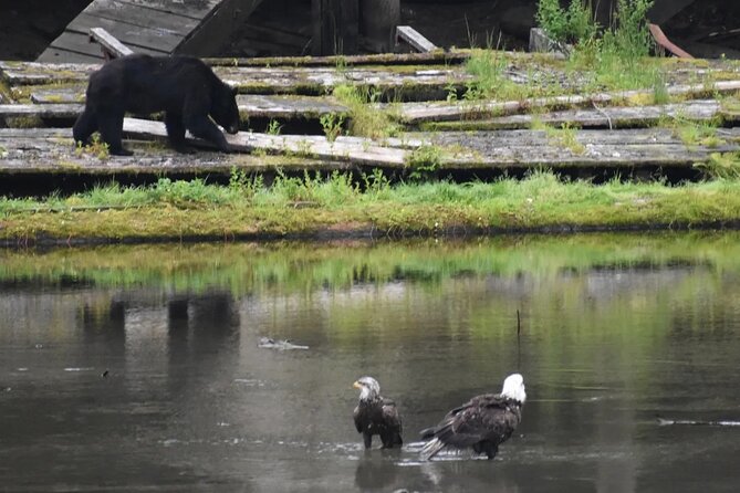 Private Ketchikan City Totems & Wildlife Van Tour - FAQs