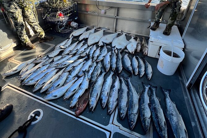 Private Ketchikan Halibut and Salmon Fishing Charter - The Sum Up