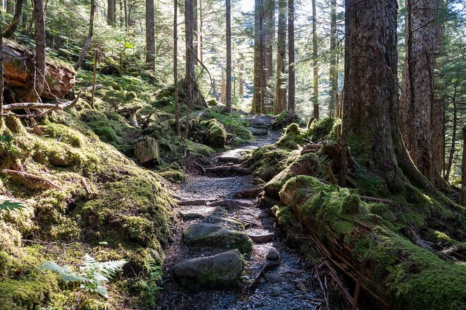 Private Ketchikan Mountain Lake Extended Trek to Alpine Overlook - Key Points