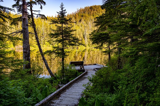 Private Ketchikan Mountain Lake Extended Trek to Alpine Overlook - A Deep Dive into the Trek Experience