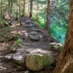Private Ketchikan Mountain Lake Extended Trek to Alpine Overlook - Who Should Book This Tour?