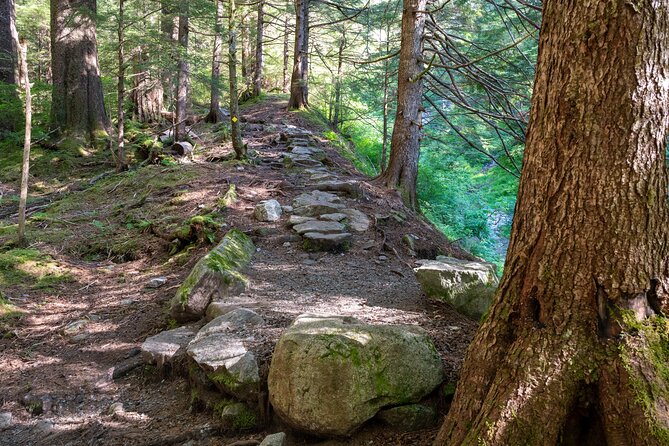 Private Ketchikan Mountain Lake Extended Trek to Alpine Overlook - Who Should Book This Tour?