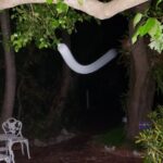 PRIVATE Key West Haunted History Walking Tour - The Itinerary: An In-Depth Look