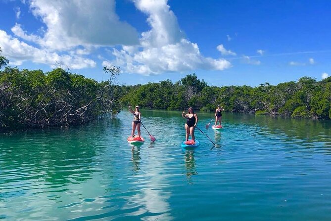 Private Key West Sandbar and Paddle by Boat - Key Points
