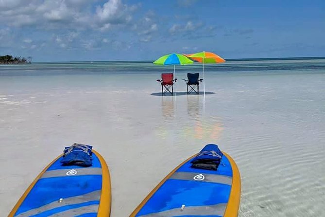 Private Key West Sandbar and Paddle by Boat - Who Will Love This Tour?