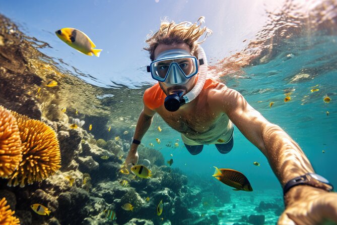 Private Key West Snorkeling Adventure - Key Points