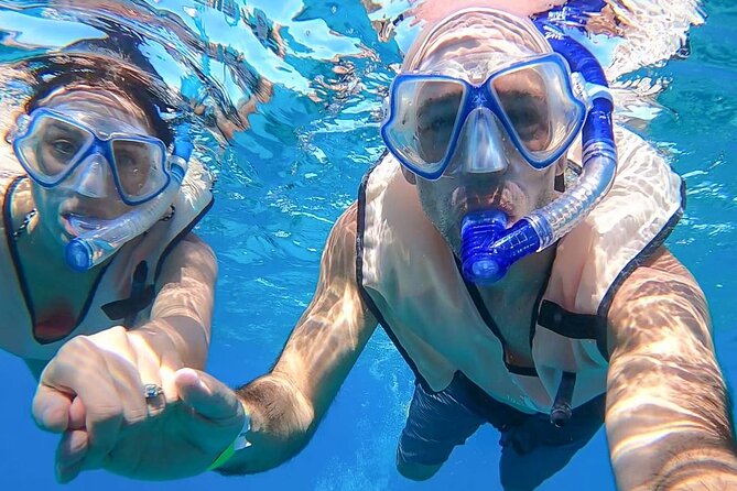 Private Key West Snorkeling Adventure - An In-Depth Look at the Private Key West Snorkeling Adventure