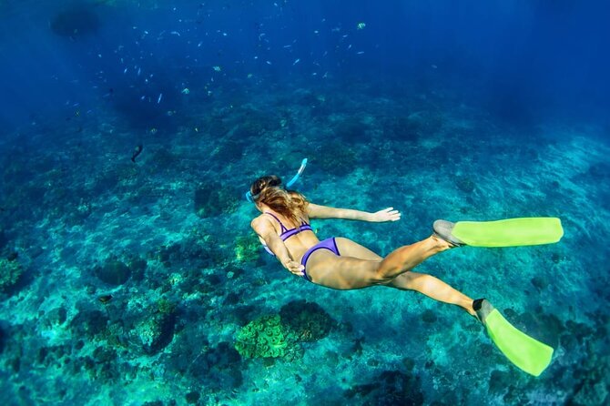 Private Key West Snorkeling Adventure - Final Thoughts