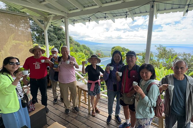 Private Kona Cruise Ship Excursion Kona up to 14 People - Final Thoughts: Is It Worth It?