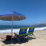 Private LA Coast Tour with Beach Day or Scenic Hike - The Experience from the Traveler’s Perspective