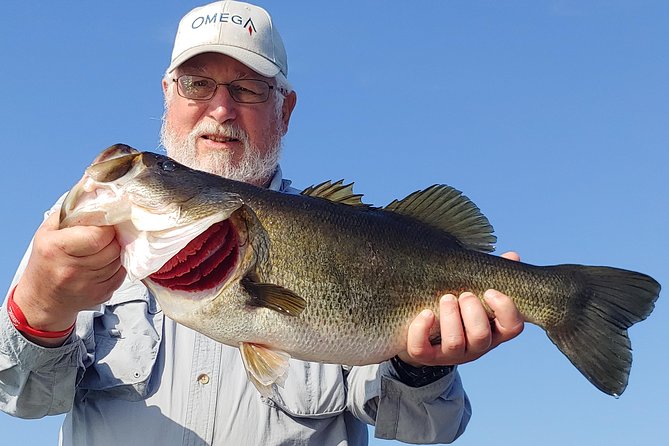Private Lake Tohopekaliga Fishing Charter near Orlando - Why Choose Lake Tohopekaliga for Bass Fishing?