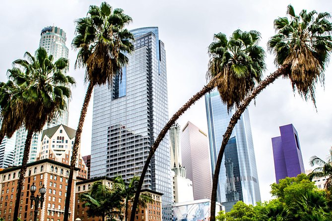Private Layover Los Angeles Tour with Pickup from LAX - Santa Monica, Venice - What Travelers Can Expect