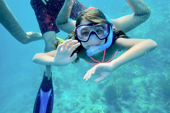 Private Looe Key Snorkel from Big Pine Key - The Experience in Detail: What to Expect