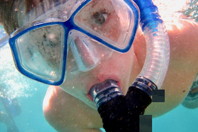 Private Looe Key Snorkel from Big Pine Key - Analyzing Value and Cost