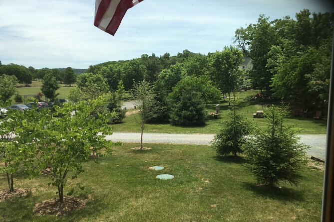 Private Loudoun County Wine Tour from DC with Stops at 3 Wineries - Who Is This Tour Best For?