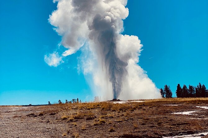 Private Lower Loop Tour of Yellowstone National Park - An In-Depth Look at the Tour Experience