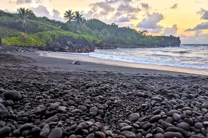 Private Luxury Hana Tour in 7 Passenger SUV - Transportation & Comfort