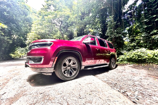 Private Luxury Hana Tour in 7 Passenger SUV - Who Is This Tour Best For?
