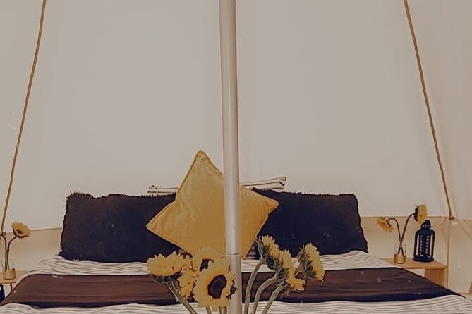 Private Luxury Picnic Experience in Hollywood - Key Points