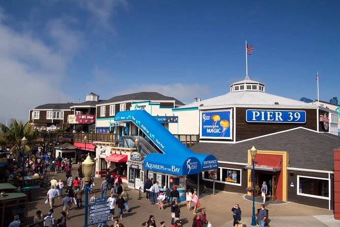 Private Luxury San Francisco City Tour - Transportation and Logistics