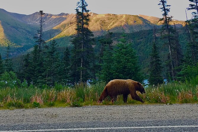 Private luxury shore excursion Skagway, AK to Emerald Lake, Yukon. - The Charm of Carcross