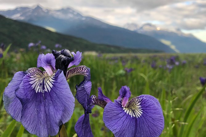 Private luxury shore excursion Skagway, AK to Emerald Lake, Yukon. - What’s Included and What’s Not