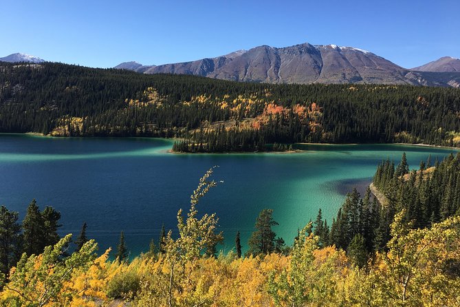Private luxury shore excursion Skagway, AK to Emerald Lake, Yukon. - Who Should Consider This Tour?