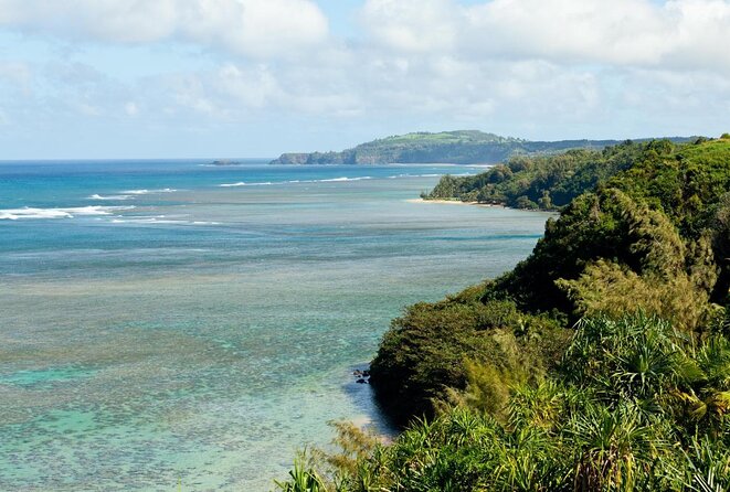 Private Luxury Tour of Kauai: North & East Shores - Introduction