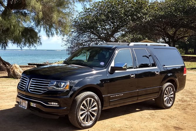Private Luxury Tour of Kauai: South & West Shores - Key Points