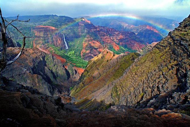 Private Luxury Tour of Kauai: South & West Shores - Why This Tour Works for You