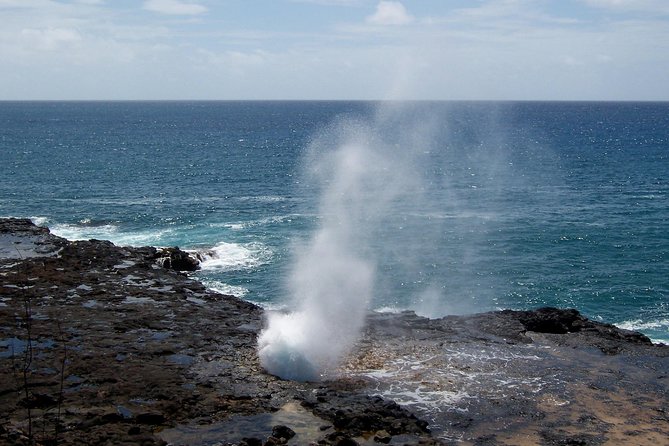 Private Luxury Tour of Kauai: South & West Shores - The Authentic Experience: What We Loved