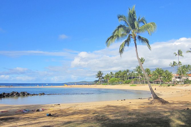 Private Luxury Tour of Kauai: South & West Shores - Who Should Consider This Tour?