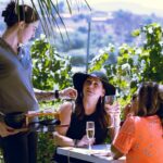 Private Luxury Transportation Experience - Sonoma - The Transportation: Comfort and Style