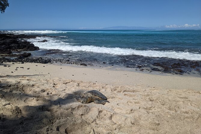 Private Luxury Van with Driver to Big Island Destinations of Your Choice - Final Thoughts: Is This Tour Worth It?